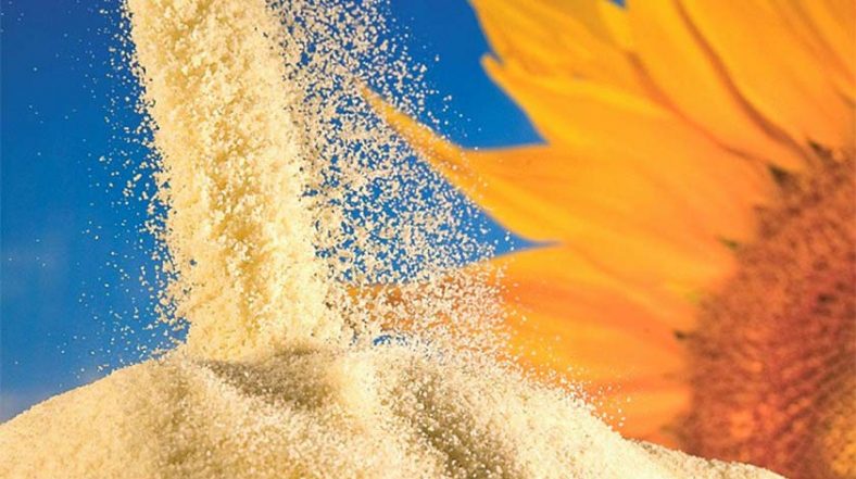 Top 5 Health Benefits of Lecithin Powder! | Keep Fit Kingdom