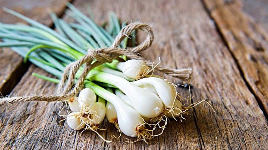 Spring Onions: Top 7 Health Benefits | Keep Fit Kingdom