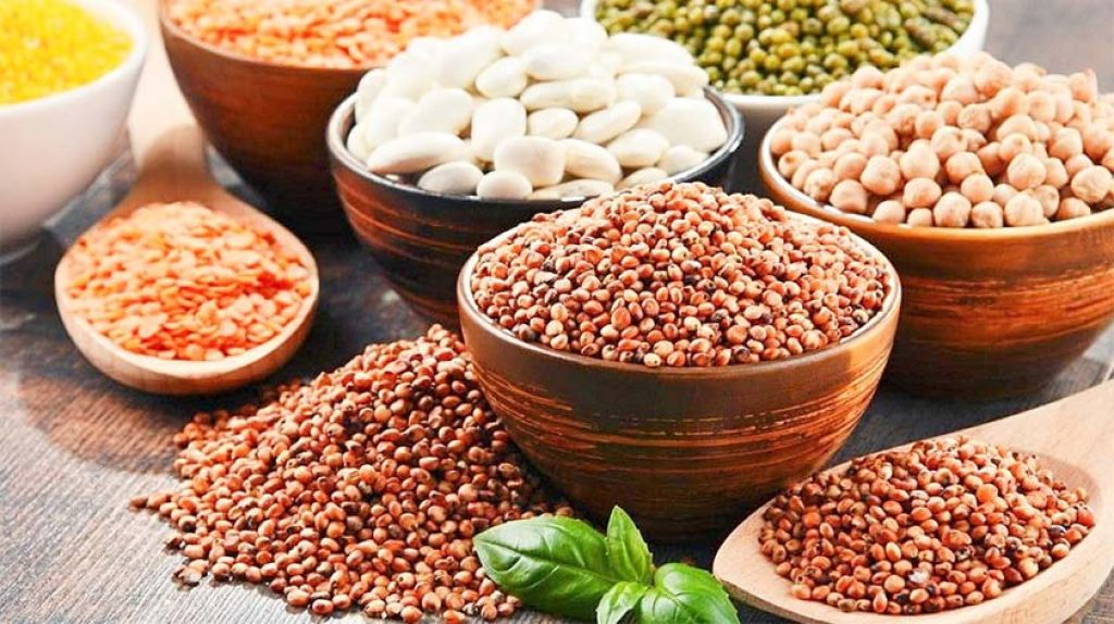 Low-Budget Protein Sources: 5 Options You Should Know About!