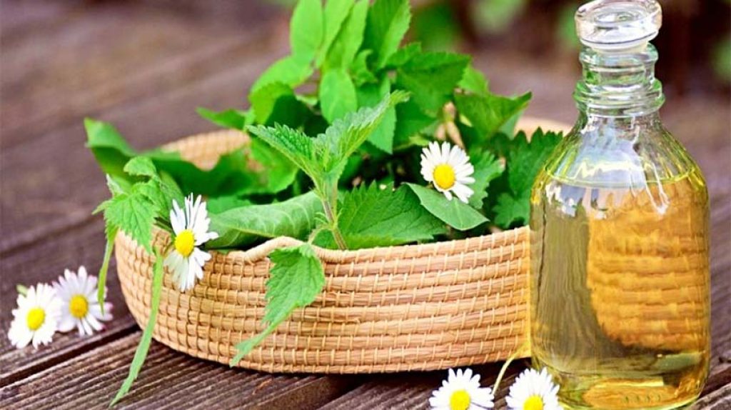 Neem Oil: 5 Great Benefits You Must Know About! | Keep Fit Kingdom